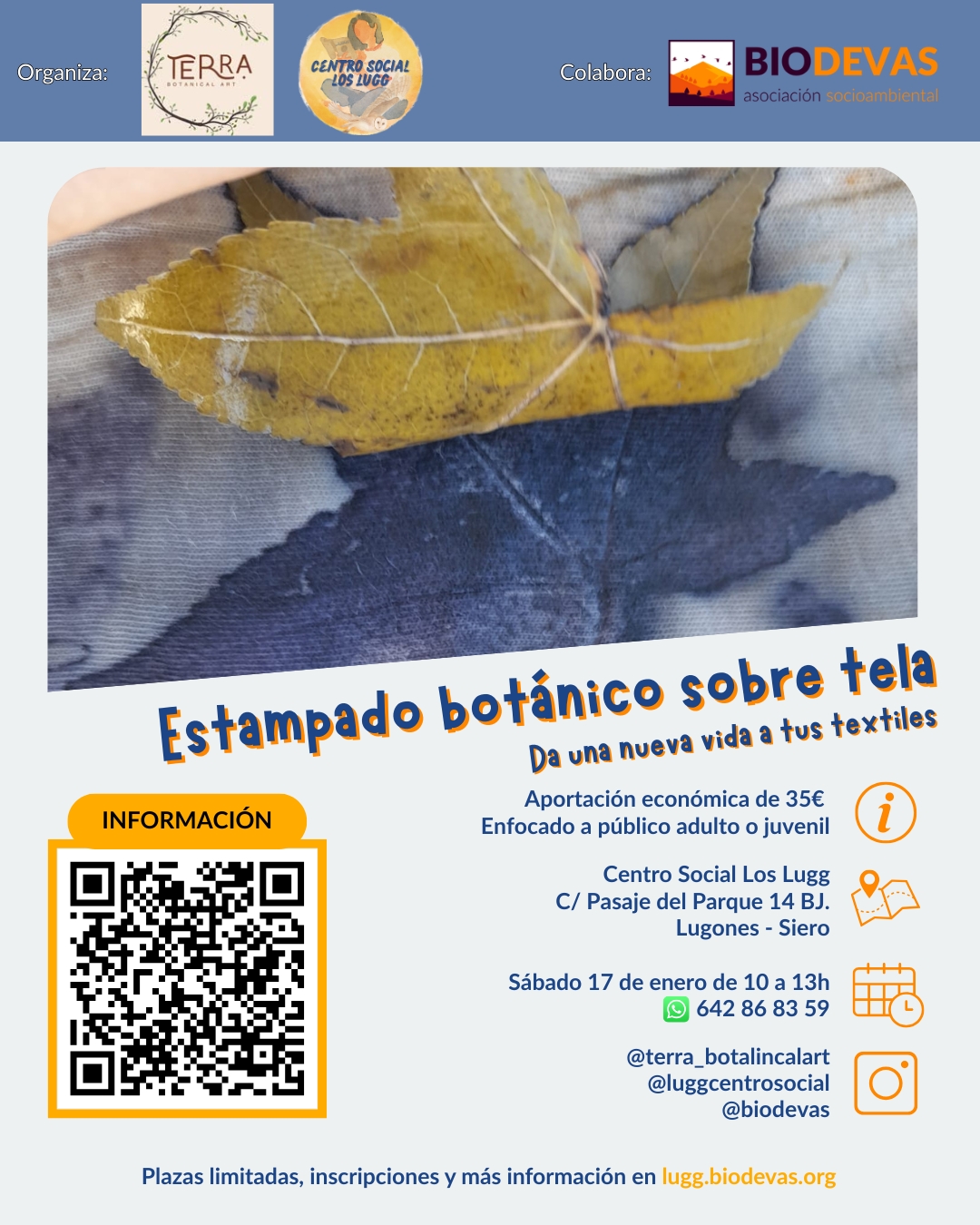 Estampado botánico sobre tela - Centro social los Lugg